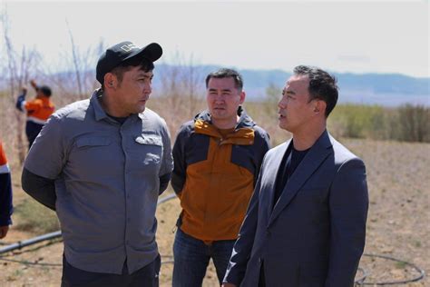 Өмнөговь аймаг нэг сая мод тарьж ургуулаад байна