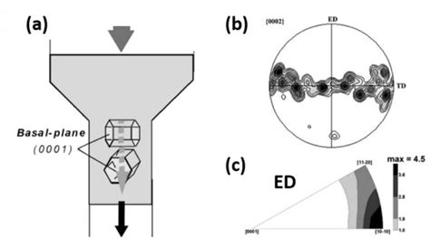Schematic Illustration Of Direct Extrusion A And Basal Fiber Texture