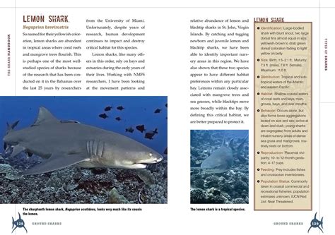 The Shark Handbook Second Edition Book By Greg Skomal Official