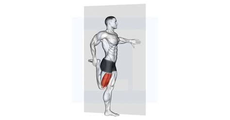 Assisted Lying Hamstring Stretch Guide Benefits And Form