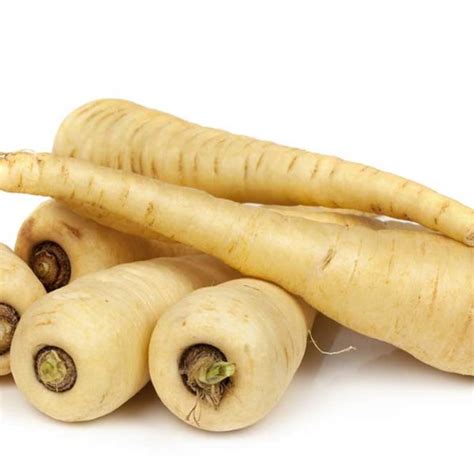 Hollow Crown Parsnip Vegetable Seed Shopic