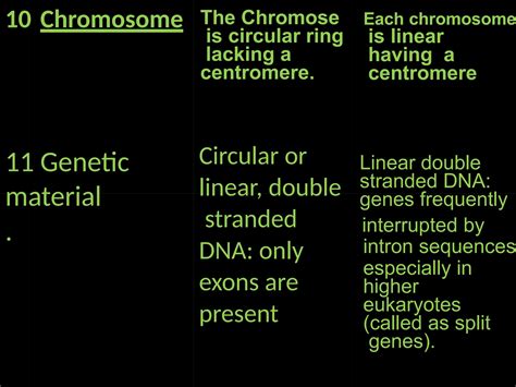 Sturcture Of Prokaryotic And Eukaryotic Cells Cell Division Mitosis