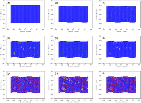 Synthetic Reconstruction Process Download Scientific Diagram