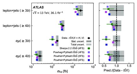 The Visible Phase Space Cross Sections Measured By Atlas Compared With