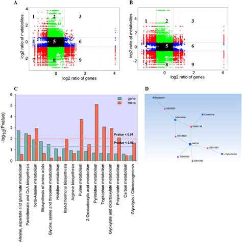 correlation analysis of the transcriptomic and metabolomic data of a
