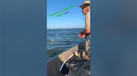 Pesca Artesanal Na Lagoa Dos Patosrs Youtube