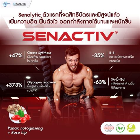 Senactiv® สารออกฤทธิ์ Senolytic ตัวแรกที่จดสิทธิบัตรและพิสูจน์แล้วว่า