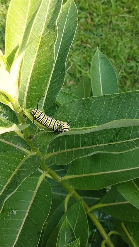 New To Pilates Perfect Core Collective Ann Arbor Facebook