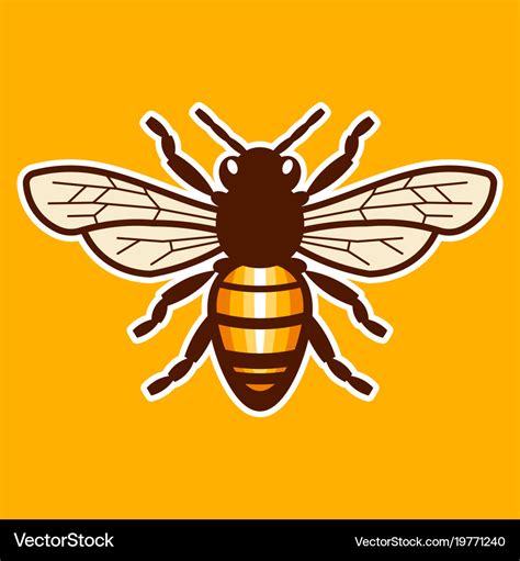 Honey Bee Vector