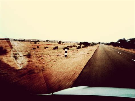 Premium Photo Road Along Trees