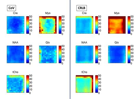 4 Maps Of Coefficient Of Variation And Cramér Rao Lower Bounds Maps