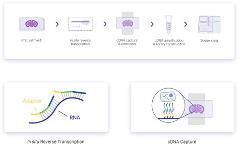 M20 Spatial M20 Genomics