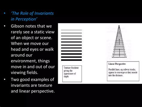 Perception Ppt