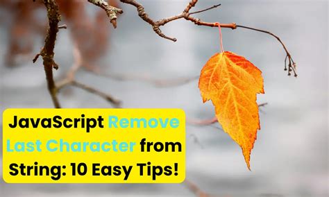 Javascript Remove Last Character From String 6 Easy Tips
