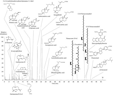 Gc Ms Total Ion Current Tic Chromatogram From The Sylilated Total
