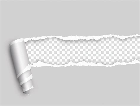 찢어진 종이 층 프리미엄 벡터