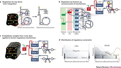 Incorporating Regulationtwo Primary Paradigms Exist In Download Scientific Diagram