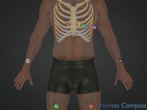 Ekg Interpretation Guide Learn To Read Heart Rhythms Step By Step Nurses Compass