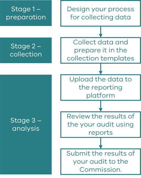 The Progress Auditing Process Au