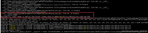 mmdetection中RuntimeErrorinput is smaller than kernel shape check at mmdet ops dcn src deform