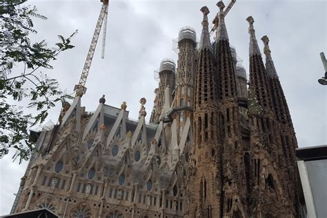 An Advantage Of Occupancy Modelling Proteus