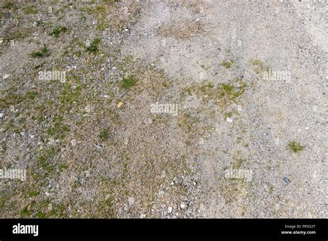 Texture Of The Dirt Path Stock Photo Alamy