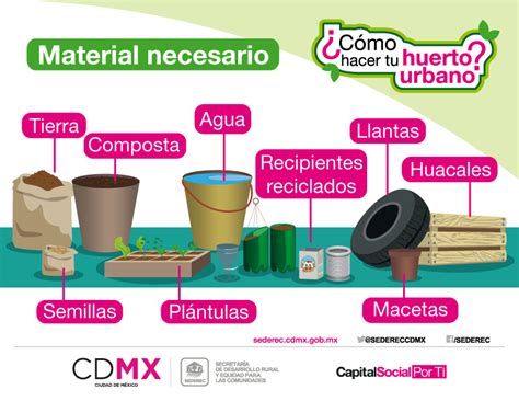 Ahora Que Estamos En Casa ¿cómo Puedo Iniciar Un Huerto Urbano