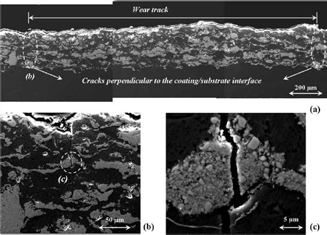 Sem Cross Section Of Micrographs The 50 Wc Co Cr Composite Coating
