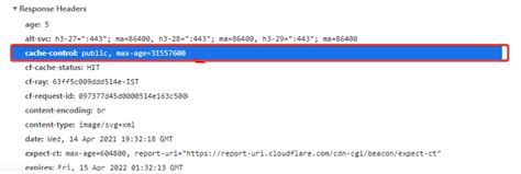 How To Apply Efficient Cache Policy On Wordpress Assets