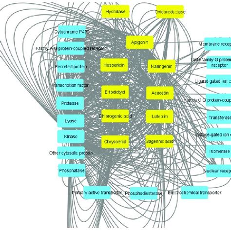 Structure Of Eriodictyol Acacetin Hesperidin Sagerinic Acid