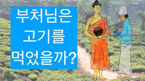 부처님은 고기를 먹었을까 스님은 왜 고기를 먹지 못할까 Youtube