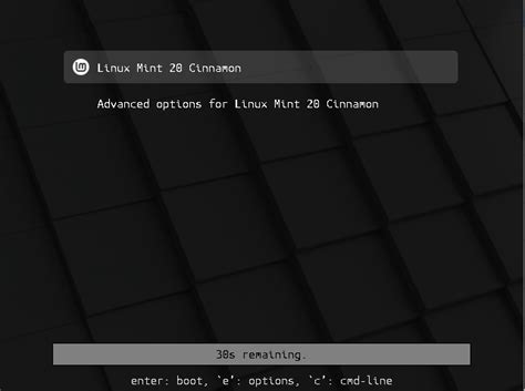 How To Install Linux Mint 20 Unixmen
