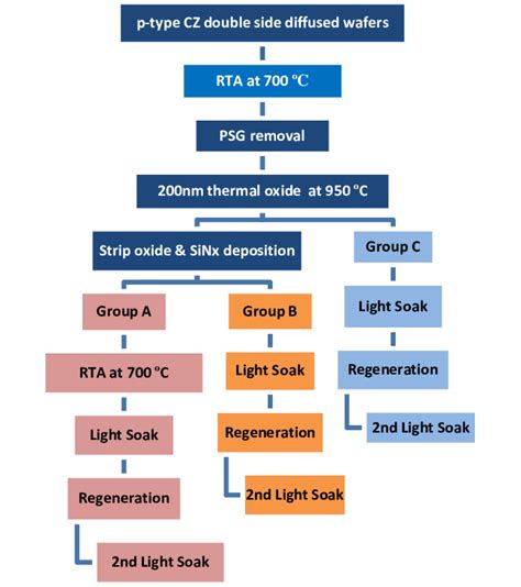 Flow Chart Showing The Processing Steps For The Different Groups