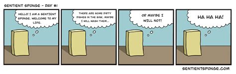 day 1 introduction sentient sponge