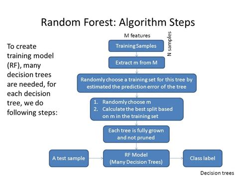 Random Forest Algorithm It Is An Easy To Use Machine Learning By Vineet Maheshwari