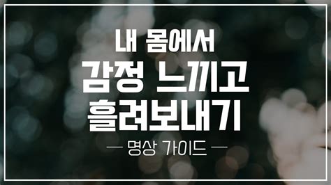 내 몸 안에서 감정 느끼고 흘려보내기 명상 배경 음악 버전 Youtube