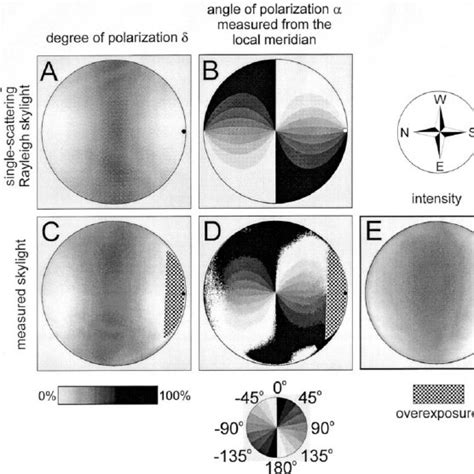 A B Spatial Distribution Of The Degree D And Angle A Of Polarization