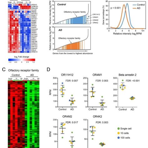 Olfactory Transduction Was Significantly Inhibited In Ad Neuron A