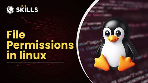 File Permission In Linux 7 Powerful Facts For Beginners And Pros Alike