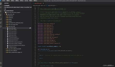 vscode使用keil插件，头文件无法打开，有红波浪线 解决 keil hal vscode include 波浪 csdn博客