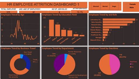 Meriskill Dataanalysis Datavisualization Dataexploration
