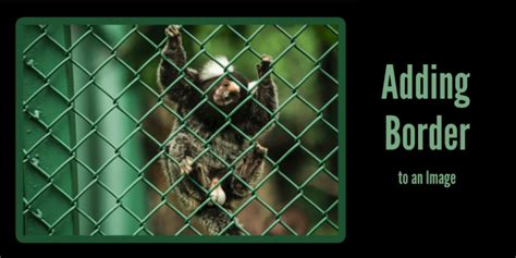 How To Add Border To An Image In Photoshop Steps