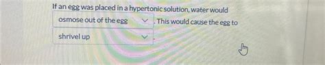 Solved If An Egg Was Placed In A Hypertonic Solution Water