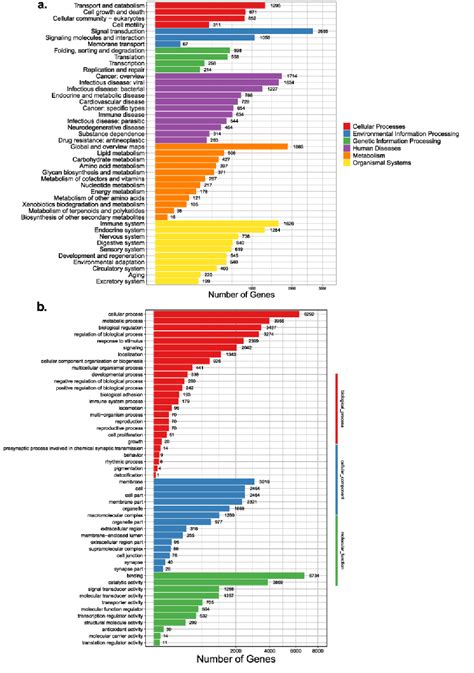 Figure 5 From The Genome Assembly And Annotation Of The Chinese Cobra Naja Atra Semantic Scholar