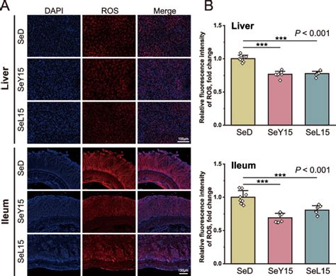 Comparative Effects Of Selenium Enriched Lactobacilli And Selenium Enriched Yeast On Performance