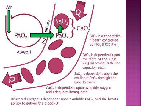 High Frequency Oscillatory Ventilation Ppt Download