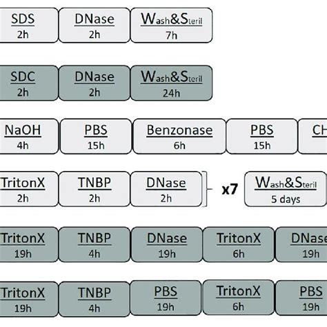 Schematic Illustration Of Decellularization Protocols Concentration Of