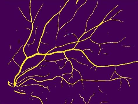 Python Best Method To Connect Lines In Image Stack Overflow