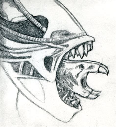 How To Draw An Xenomorph Alien Drawing Step By Step By Finalprodigy DragoArt