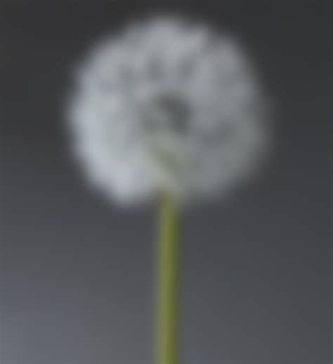 Наталья Осадчук ВКонтакте